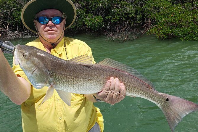 1/2 Day Afternoon Charter Fishing Naples Marco Island Sanibel - A Practical Look at the 1/2 Day Afternoon Charter Fishing in Naples, Marco Island, and Sanibel