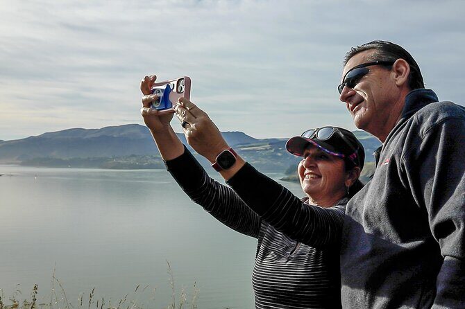 1/2-day Christchurch Scenic Highlights (Private Tour) - Exploring Christchurch’s Scenic Wonders: A Private Half-Day Tour Review