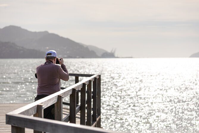 1/2-day Christchurch Scenic Highlights (Shore Excursion) - Who Is This Tour Best Suited For?