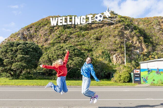 1/2 Day Guided Wellington Tour incl. Cable Car (Vans not buses) - Exploring Wellington in Comfort and Style