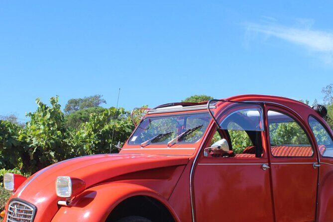 1/2 day private Vintage tour, vineyards of Saint-Tropez - Key Points