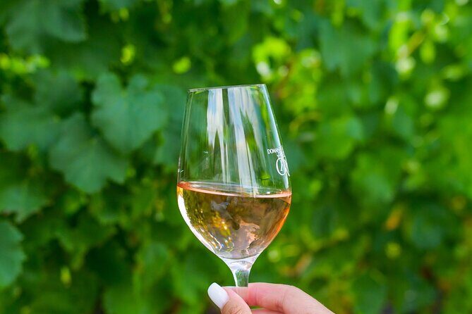 1/2 day private Vintage tour, vineyards of Saint-Tropez - The Charm of a Vintage 2CV and Scenic Drive