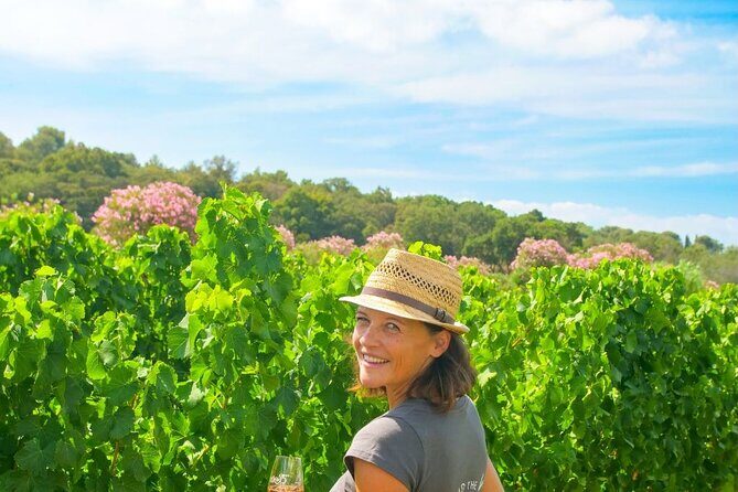 1/2 day private Vintage tour, vineyards of Saint-Tropez - Authenticity and Customer Experience