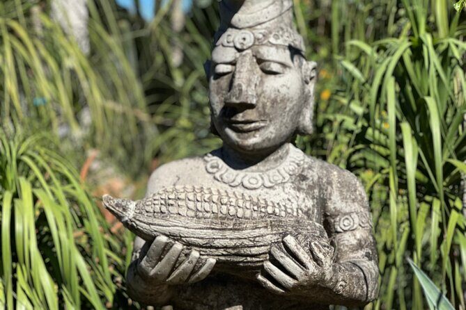 1/2 Day Puerto Vallarta Botanical Garden tour by Biologist Guide - Authentic Experiences from Reviewers