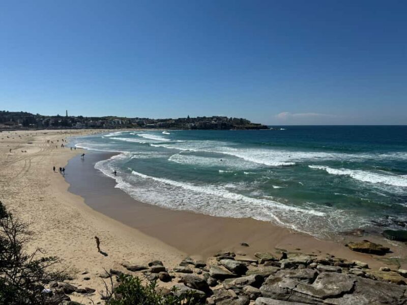 1/2 day Sydney Sightseeing and Bondi Beach Tour - Who Will Love This Tour
