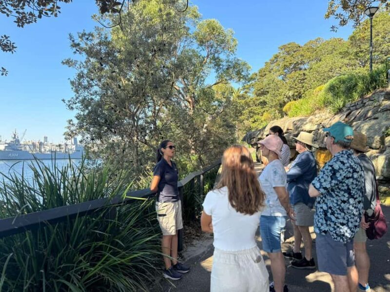 1/2 day Sydney Sightseeing and Bondi Beach Tour - The Sum Up