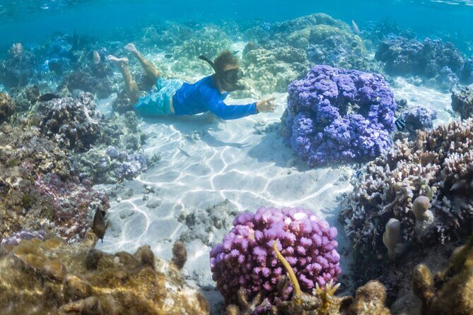 1/2 day Tahaa coral garden - departure Raiatea / ideal for cruise passengers - The Experience in Detail