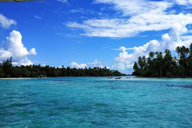 1/2 day Tahaa coral garden - departure Raiatea / ideal for cruise passengers - The Sum Up