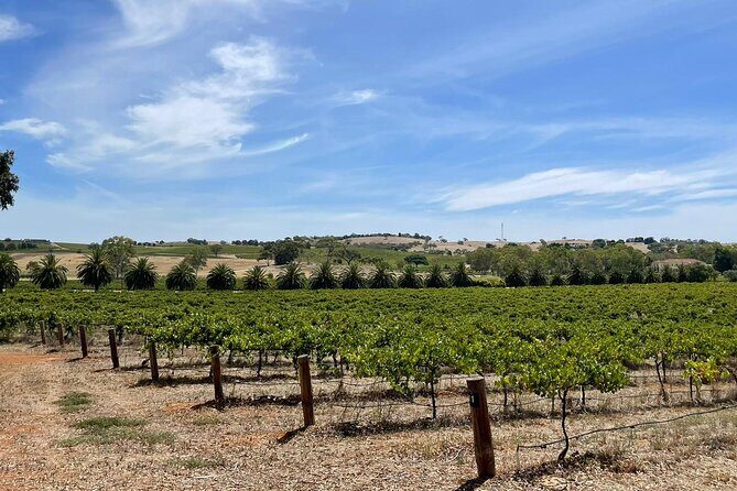 1-4 People Personal Tour - Who Is This Tour Best For?