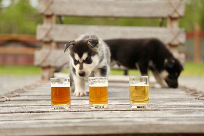 1.5-Hour Beer and Puppies Guided Experience in Fairbanks - In-Depth Look at the Fairbanks Beer and Puppies Experience