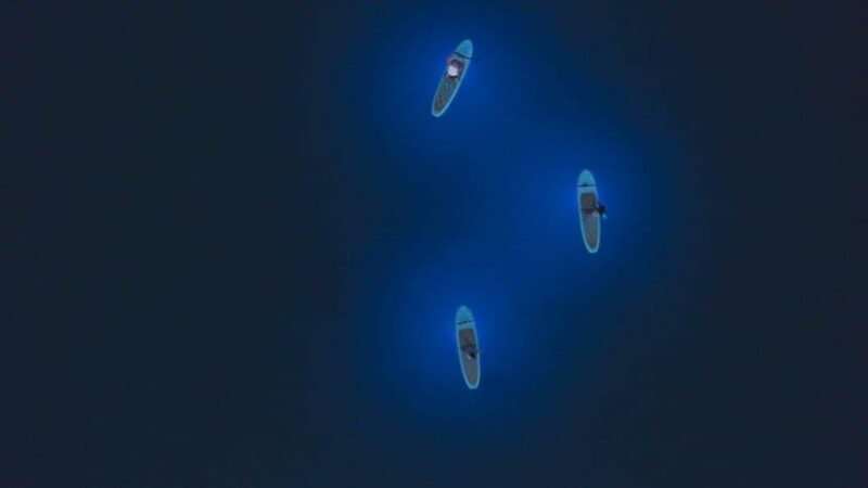 1.5-hour Clear Kayak Rental: Discover the Underwater World - Location and Accessibility