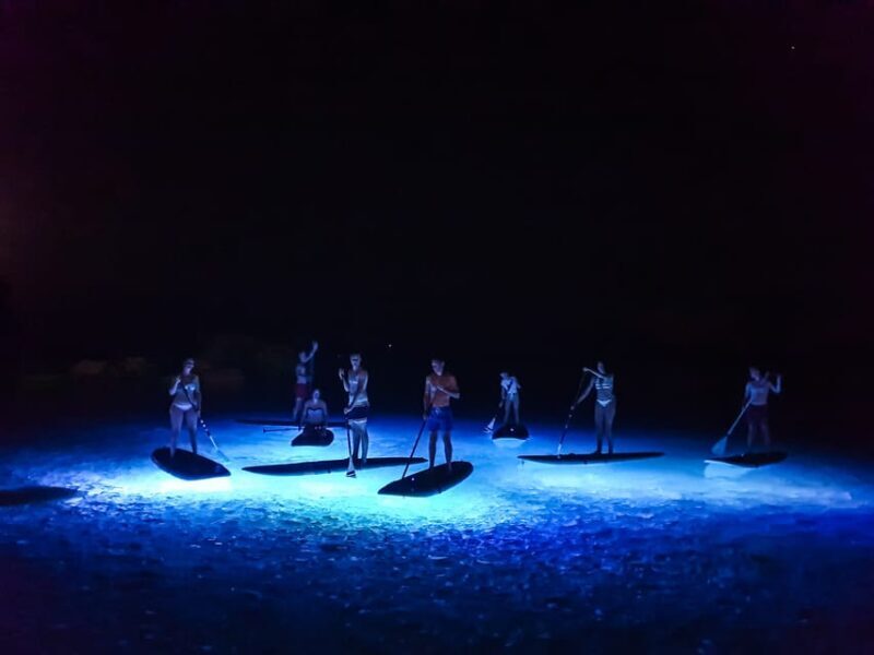 1.5-hour Clear Kayak Rental: Discover the Underwater World - What’s Included and What’s Not