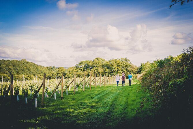 1.5-Hour Swanaford Vineyard Tour And Tasting Experience - Key Points