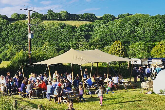 1.5-Hour Swanaford Vineyard Tour And Tasting Experience - Authentic Insights from Reviews