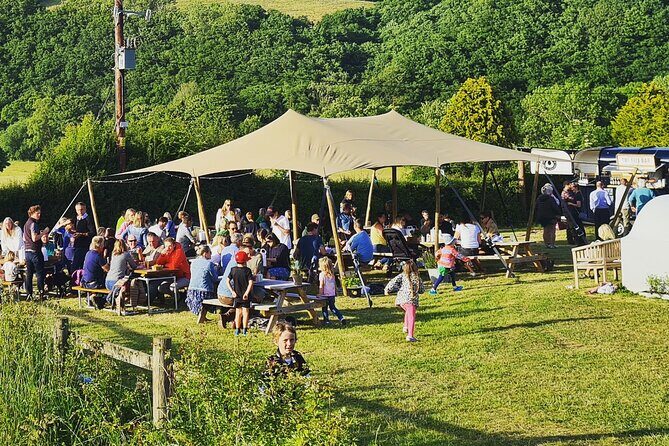 1.5-Hour Swanaford Vineyard Tour And Tasting Experience - Who Should Consider This Tour?