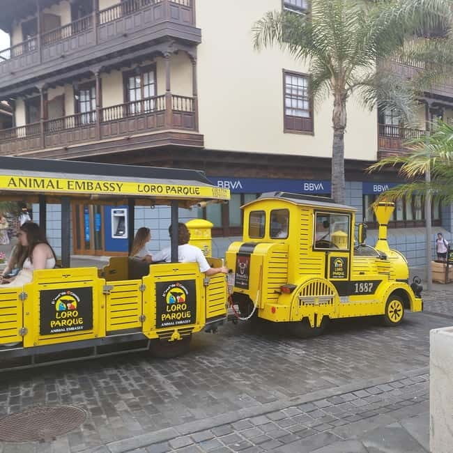 1.5-hour walking tour of Puerto de la Cruz, Tenerife. - What’s Included and What’s Not