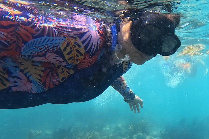 1.5 hours Snorkeling at Tulum's paradise reef - Final Words