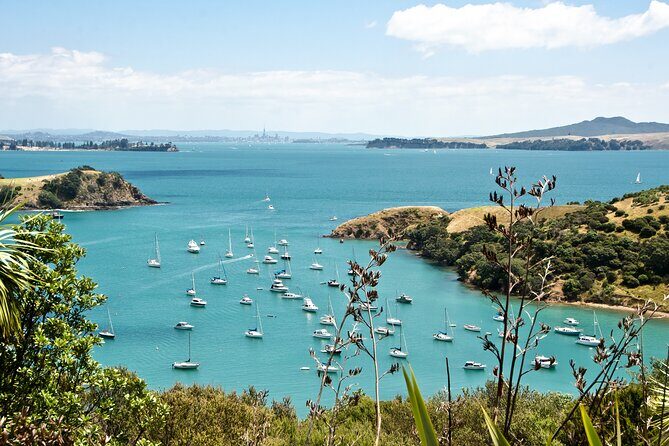 1.5h Waiheke Guided Scenic Tour in our Electric Van - The Sum Up: Is It Worth It?