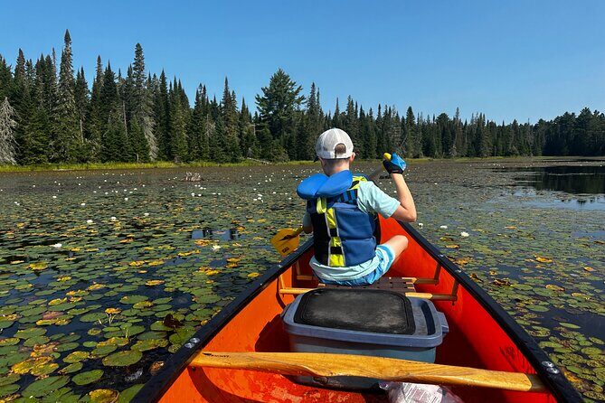 1 Day Canoeing Tour in Algonquin Park - An Honest Look at the 1 Day Canoeing Tour in Algonquin Park