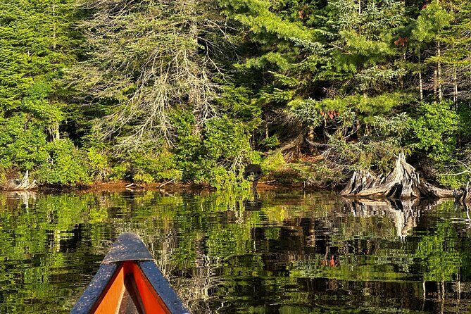 1 Day Canoeing Tour in Algonquin Park