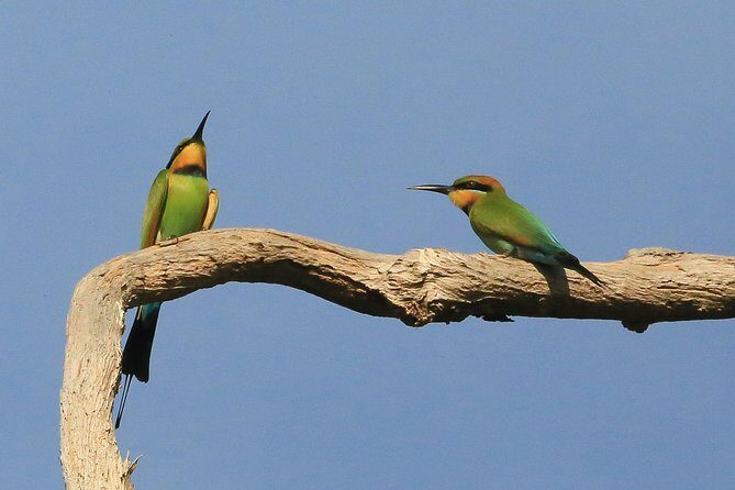 1 Day Corroboree Billabong Wetland Experience including 2.5 hour cruise + lunch - FAQ