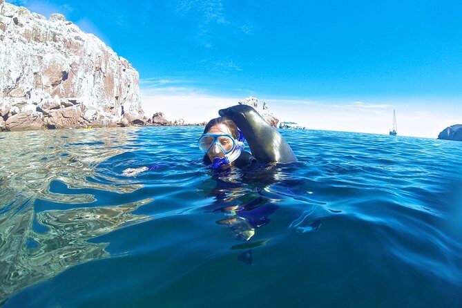 1 Day Espiritu Santo Island Wonders, Sea Lions and Paddleboard Adventure - The Sum Up: Who Will Love This Tour?