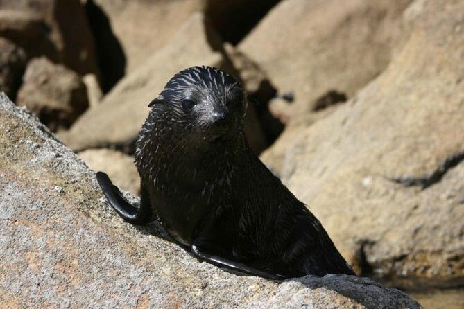 1 Day Freedom Rental - The Sum Up