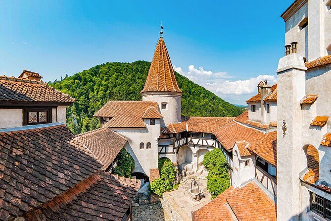 1 Day Guided Tour to Draculas Castle, Peles Castle and Brasov - Final Thoughts