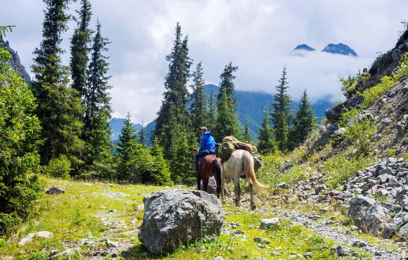 1 Day Horse Riding Adventure in Borjomi Mountains - An Overview of the Experience