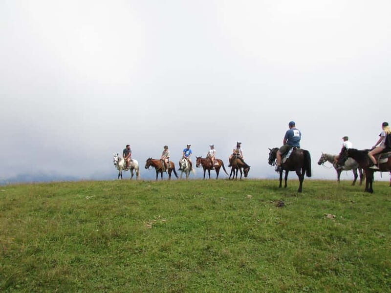 1 Day Horse Riding Adventure in Borjomi Mountains - The Highlights That Make It Special