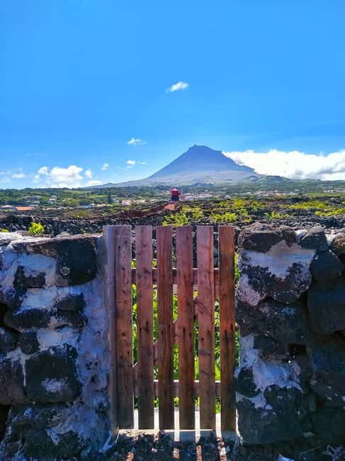 1-day jeep tour on Pico Island - Azores - Exploring Pico Island: A Detailed Look at the 1-Day Jeep Tour