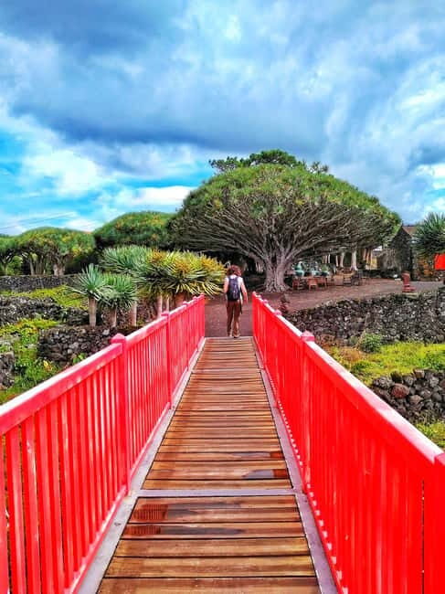 1-day jeep tour on Pico Island - Azores - Authentic Experiences and Reviewer Insights