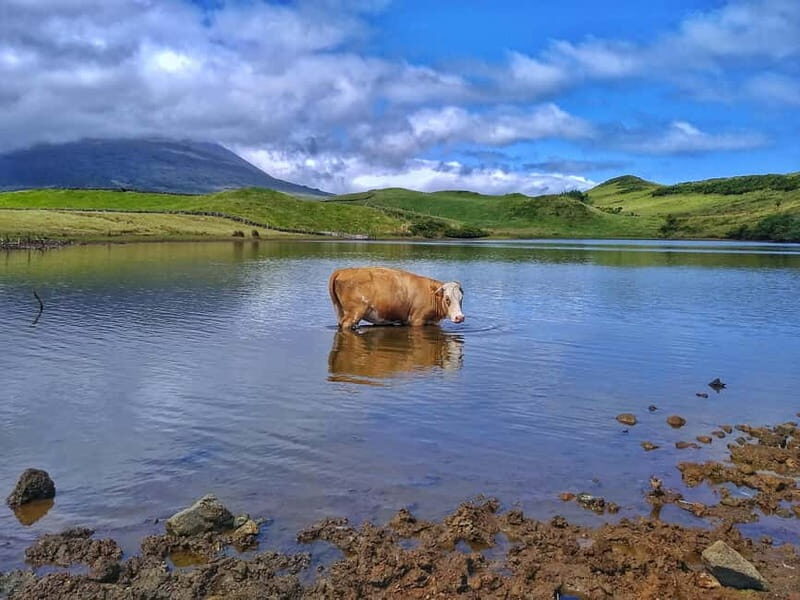 1-day jeep tour on Pico Island - Azores - FAQs