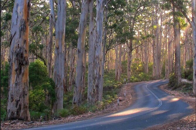 1 Day Margaret River Sightseeing Tour from Perth - Key Points