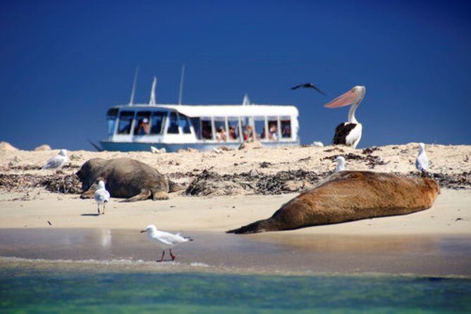 1 Day Margaret River Sightseeing Tour from Perth - FAQ