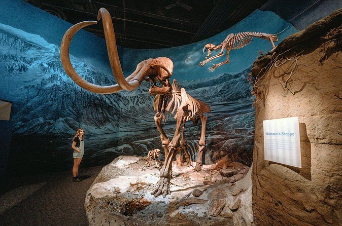 1 Day of Dinosaurs and Hoodoos From Calgary to the Drumheller - Frequently Asked Questions