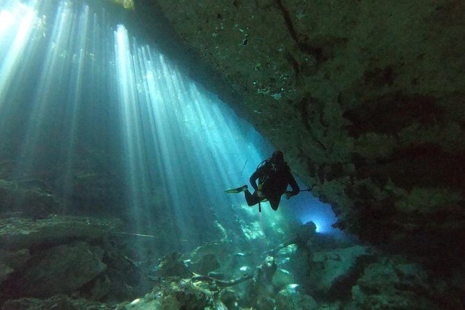 1 day of diving in Cenotes price for 2 certified divers - Key Points