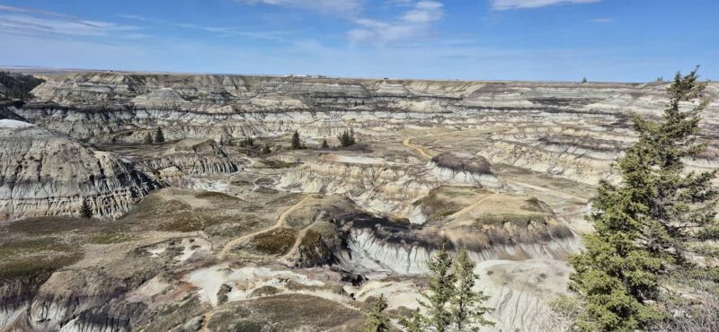 1 Day of Drumheller Dinosaurs and Badlands Guided Tour - Key Points