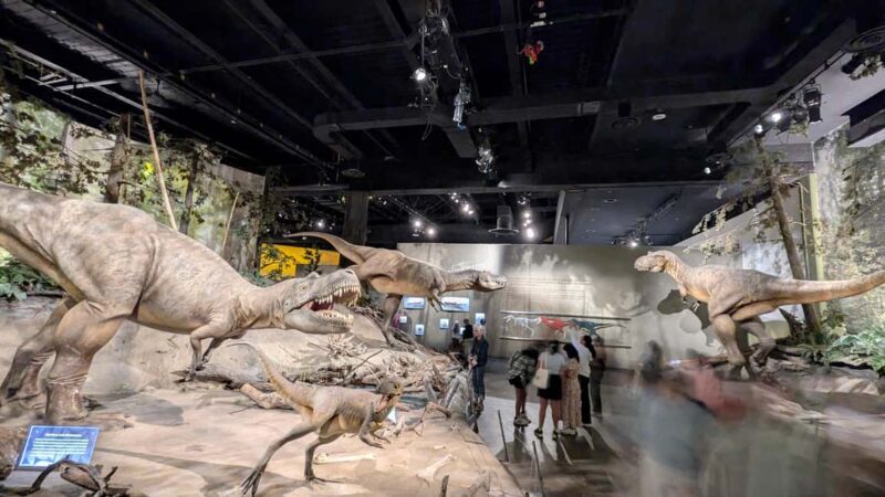 1 Day of Drumheller Dinosaurs and Badlands Guided Tour - What’s Included and What to Consider
