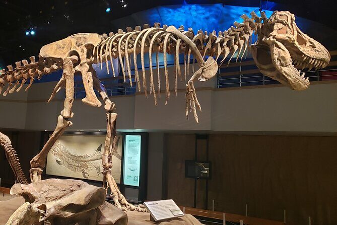 1 Day of Drumheller Dinosaurs and Badlands in Private Custom Tour - Discovering Drumheller’s Landscape and Dinosaur History