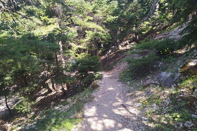 1 Day Parnitha Athens Private Hiking Tour with Hotel Pickup - The Sum Up