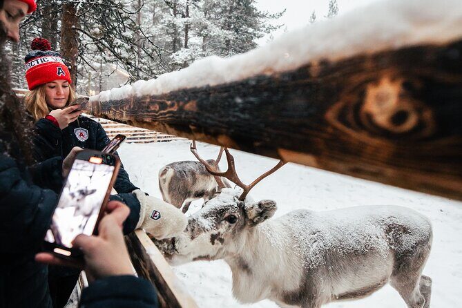 1 Day Pass Lapland Winter Park in Rovaniemi - Practical Tips for Your Visit