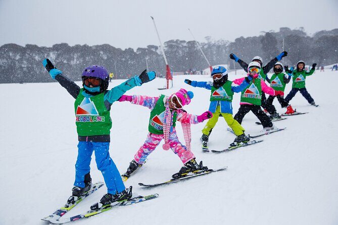 1 Day Perisher Snow Tour - Introduction