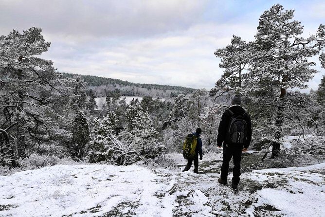1-Day Small-Group Stockholm Nature Hiking - An Overview of What Makes This Tour Special