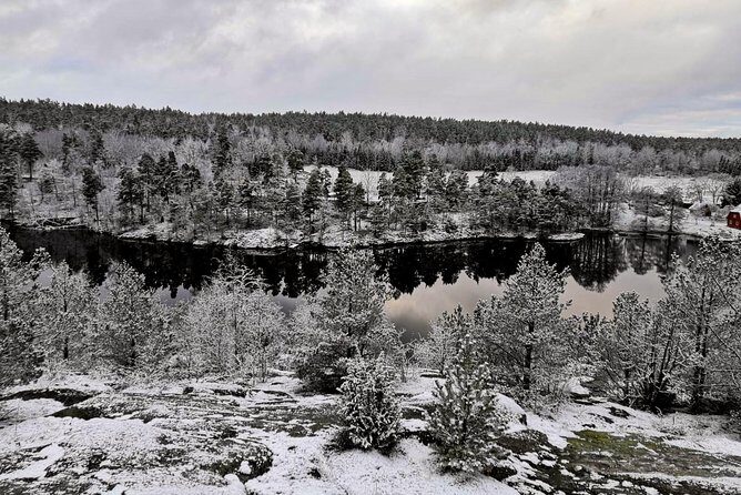 1-Day Small-Group Stockholm Nature Hiking - The Itinerary Breakdown: What to Expect