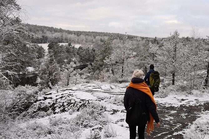 1-Day Small-Group Stockholm Nature Hiking - Bold The Sum Up: Is This Tour Right for You?