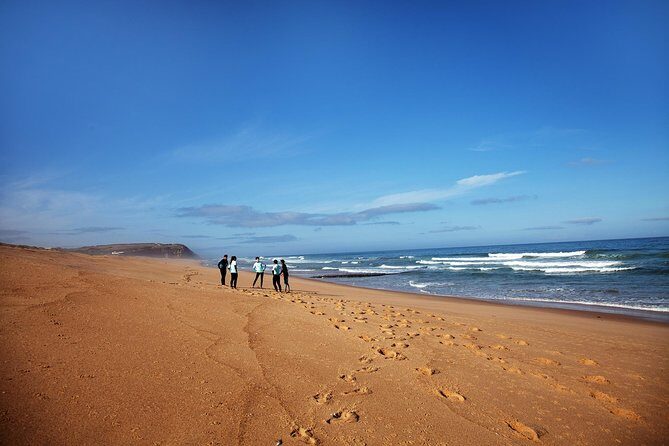 1 day surfing with Atlantic Coast Surf School - Key Points