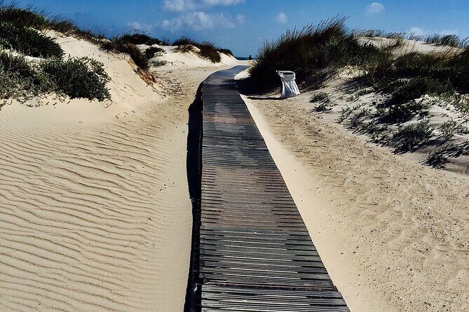 1 day surfing with Atlantic Coast Surf School - Who is this tour best suited for?