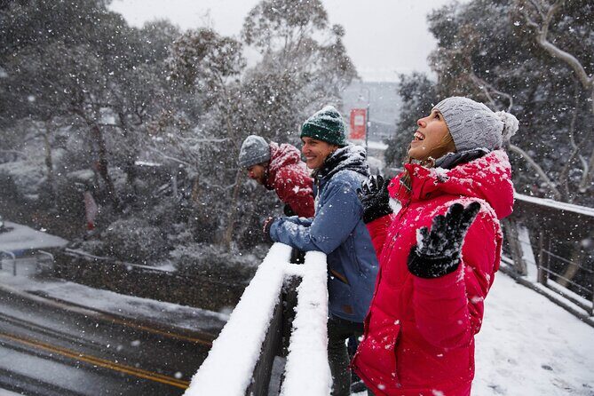 1 Day Thredbo Snow Tour - Key Points