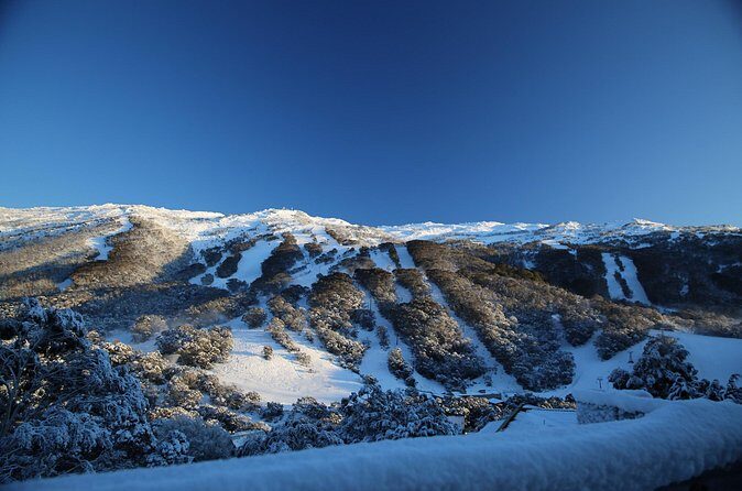 1 Day Thredbo Snow Tour - FAQs